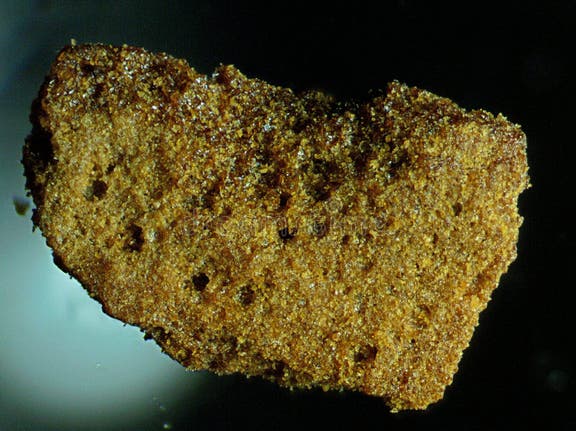 Instant Coffee Under a Digital Microscope. Stock Image - Image of micro ...