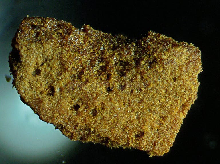 Instant Coffee Under a Digital Microscope. Stock Image - Image of micro ...