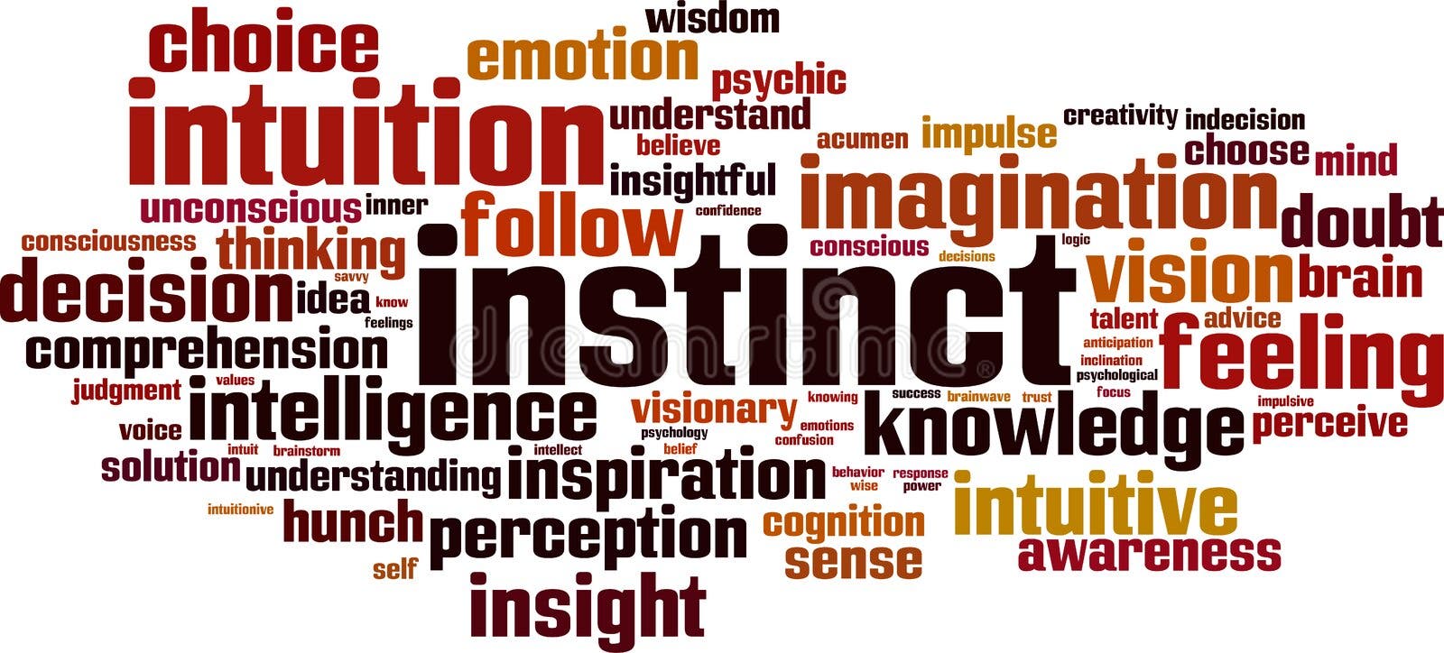 Insight word cloud stock vector. Illustration of understand - 210350247