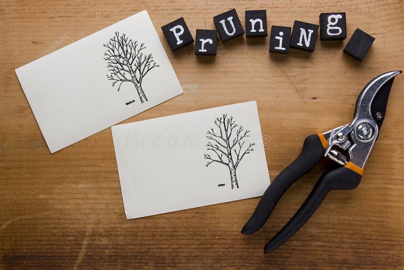 Instructions for Cutting Trees Stock Image - Image of studio, cutting ...