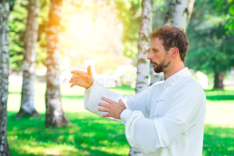 An Instructor Practice of Tai Chi Chuan in the Park. Stock Image ...