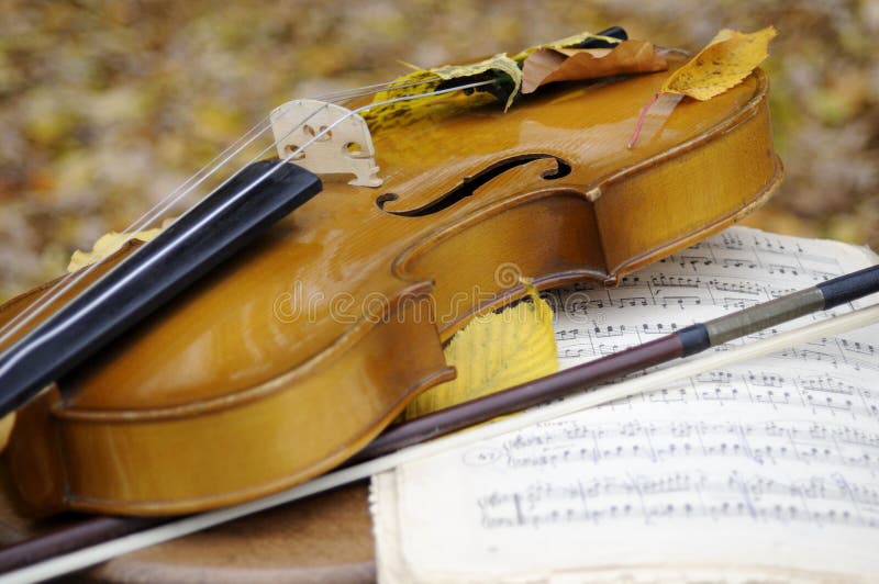 Instrument with Leaves and Musical Sheet Stock Photo - Image of note ...