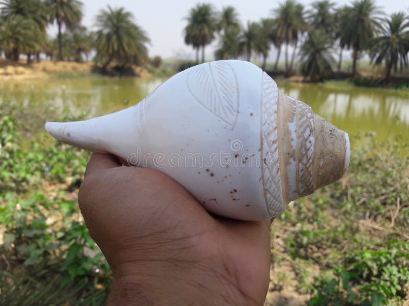 Instrument stock photo. Image of pond, instrument, green - 114436752