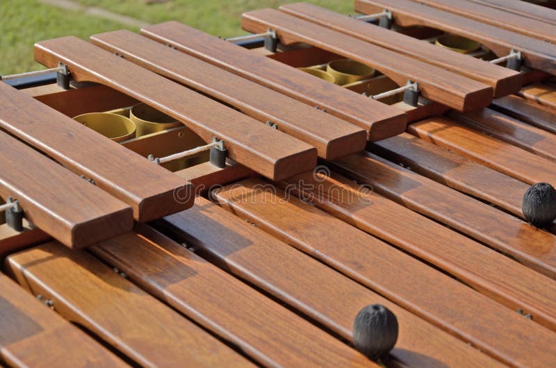 Instrumento Musical De Madeira Foto de Stock - Imagem de arranjo, linha ...