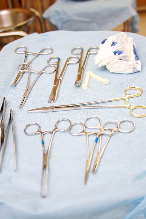 Pregnant stock photo. Image of doctor, medical, nursery - 7029838