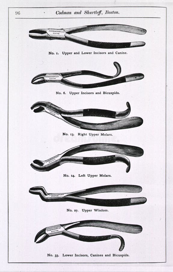 Instruments For Tooth Extraction Picture. Image: 222389497