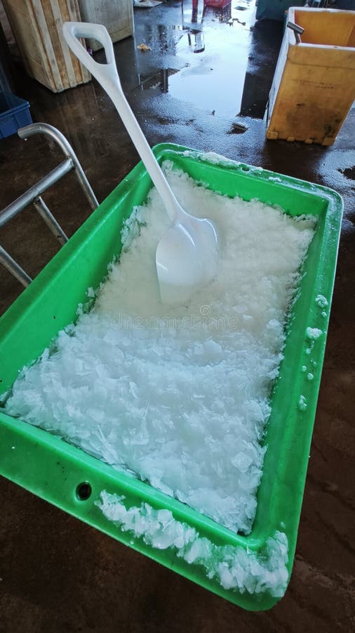 Insulated Plastic Fish Cooler Ice Box with Snow or Ice Sand with ...