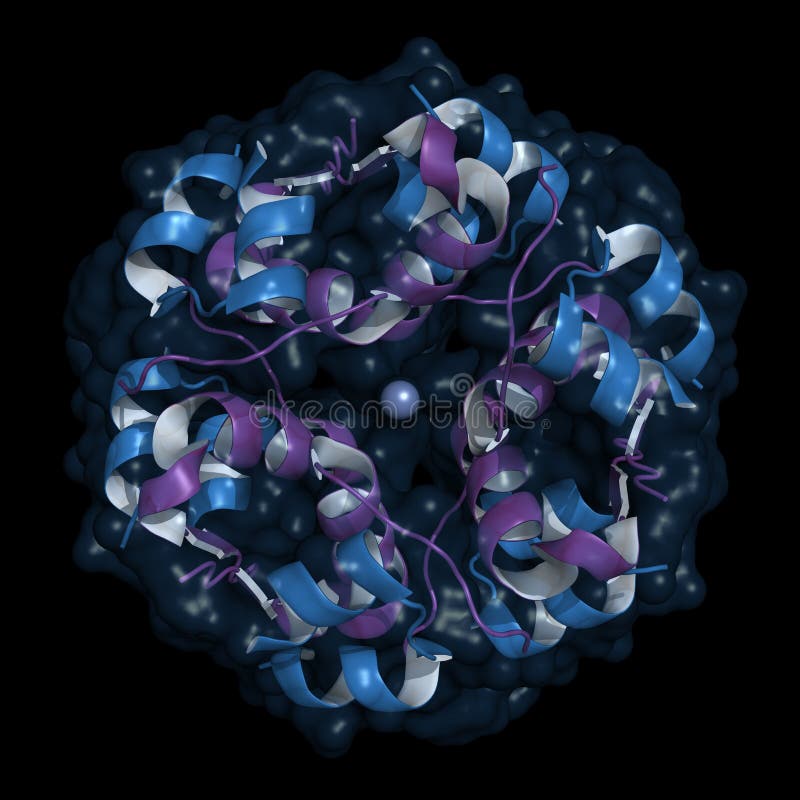 Insulin hexamer stock illustration. Illustration of diabetic - 26419461
