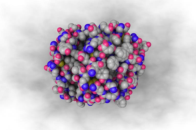 Insulin, Monoclinic Crystal Form. Space-filling Molecular Model ...