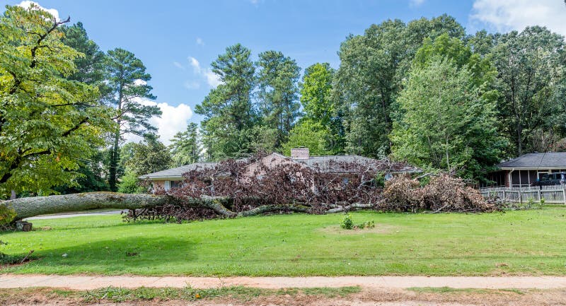 An Insurance Claim stock photo. Image of natural, storm - 78311730