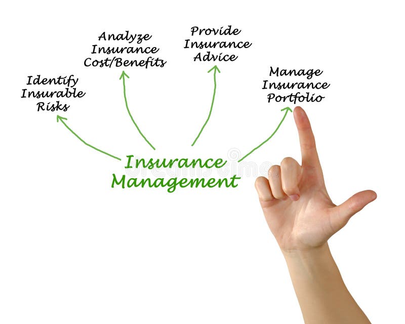 Insurance Management stock photo. Image of cost, woman - 84305608