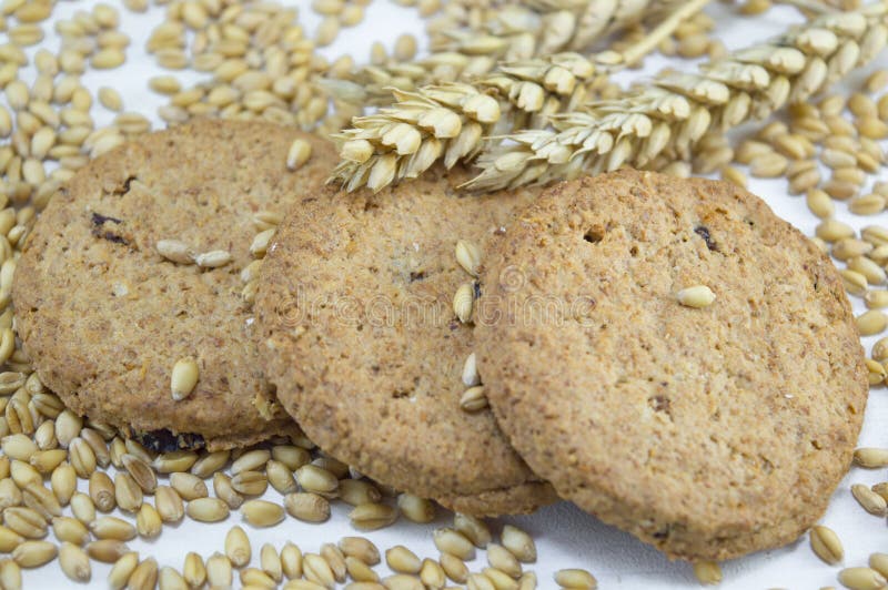 Integral Cookies and Wheat on White Stock Photo - Image of crunchy ...