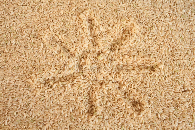 Integral Uncooked Brown Rice with a Stylized Sun on it Stock Image ...