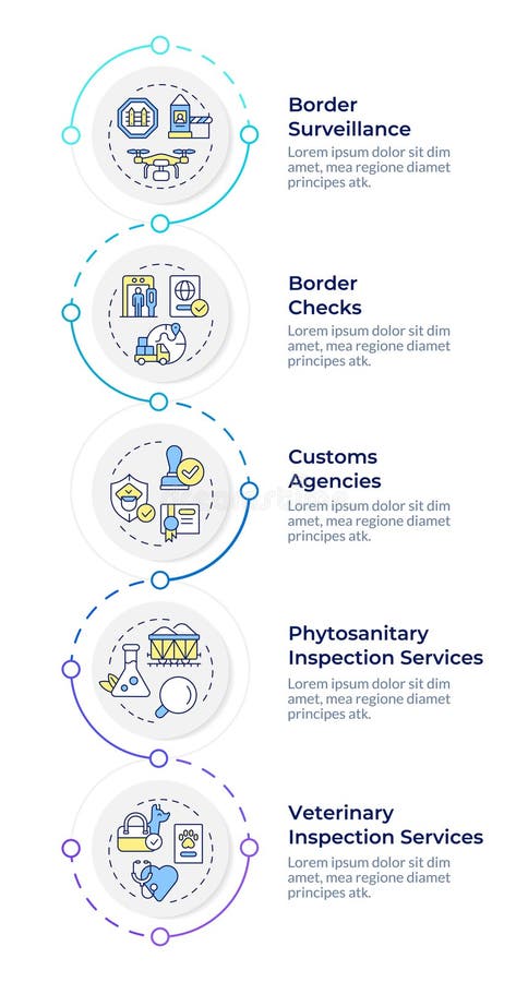 Integrated Border Management Infographic Vertical Sequence Stock Vector ...