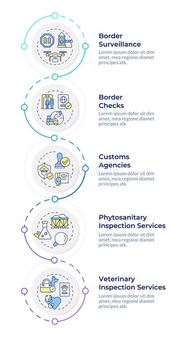 Integrated Border Management Infographic Vertical Sequence Stock Vector ...