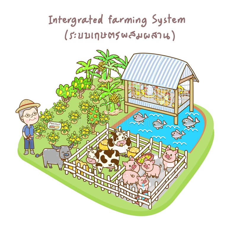 Integrated Farming System in Thai Language it Mean “Integrated Farming ...