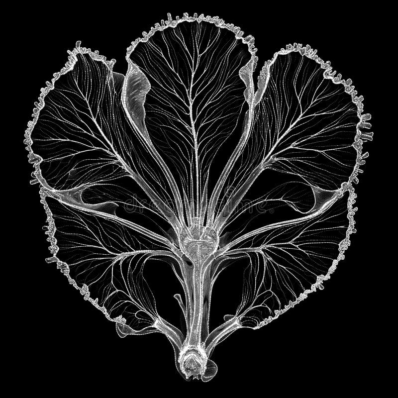 Integration of life points stock illustration. Illustration of ...