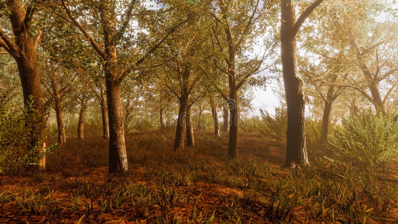 Forest Environment in Autumn. 3d Rendering Stock Illustration ...