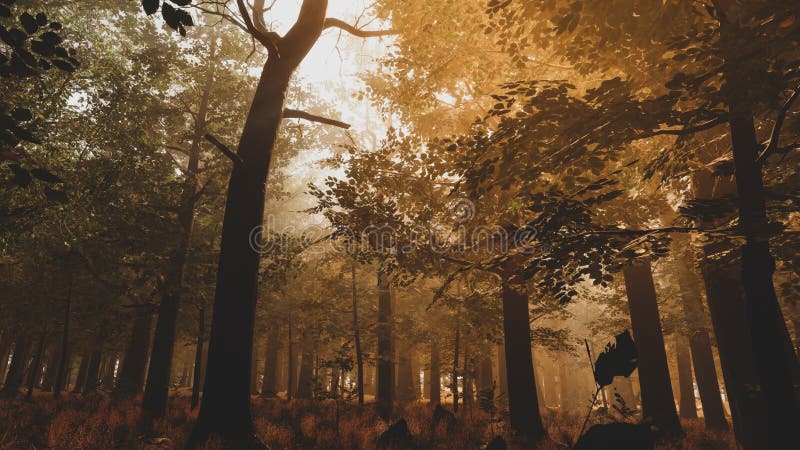 Integration of Technology in a Natural Environment, 3D Render Stock ...