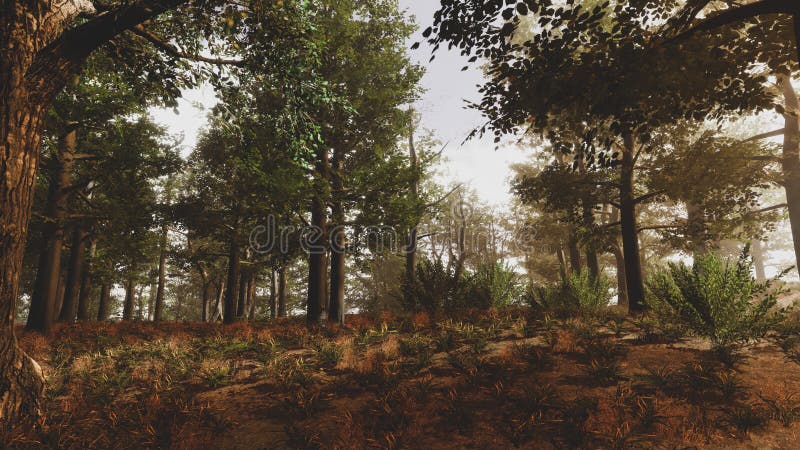 Integration of Technology in a Natural Environment, 3D Render Stock ...