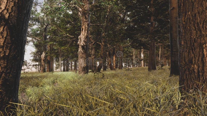 Integration of Technology in a Natural Environment, 3D Render Stock ...