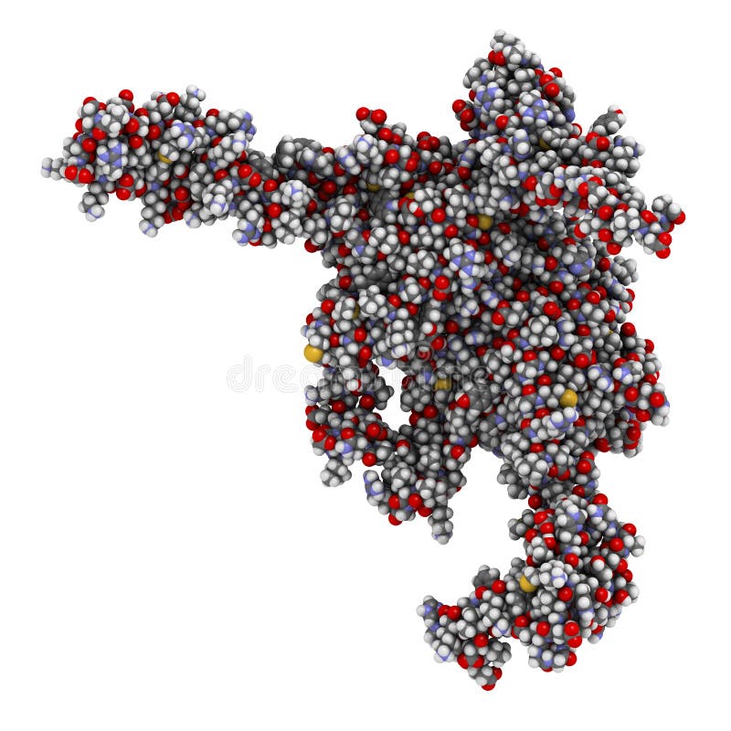 Integrin Alpha-4 Beta 7 (a4b7, Headpiece). Cell Surface Protein Complex ...