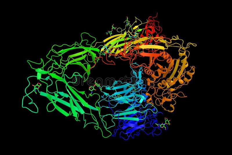 Integrin Alphavbeta3, One of Integrins Which are Transmembrane ...