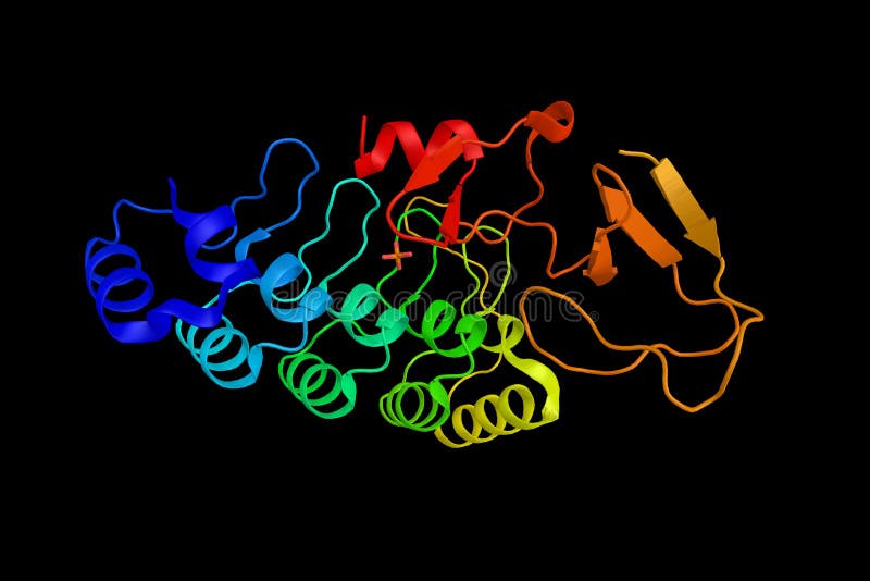 Integrin-linked Kinase, a Protein Associated with Multiple Cellular ...