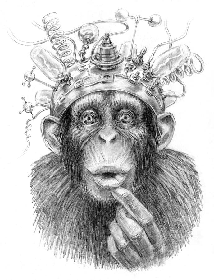 2,400+ Ape Free Stock Photos - StockFreeImages