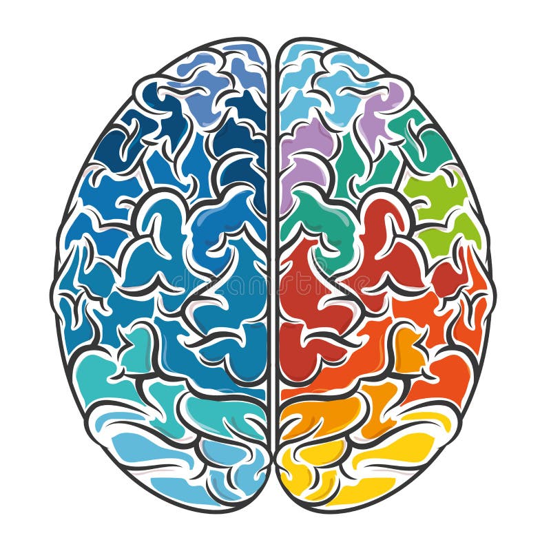 Intelligence of the Human Brain Stock Illustration - Illustration of ...