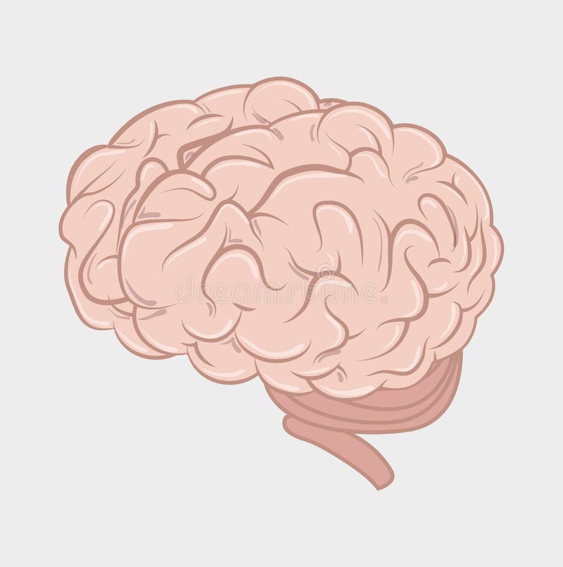 Intelligence of the Human Brain Stock Illustration - Illustration of ...