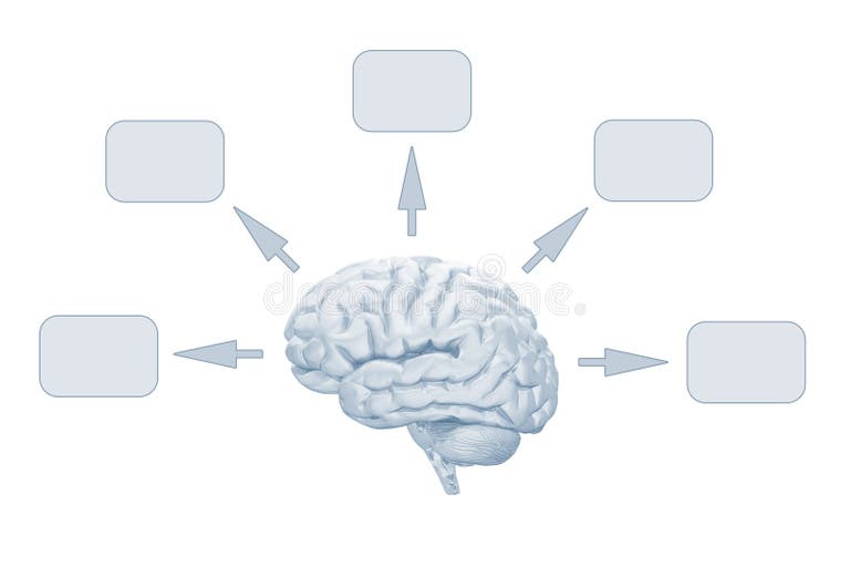 Brain Arrows Stock Illustrations – 2,083 Brain Arrows Stock ...