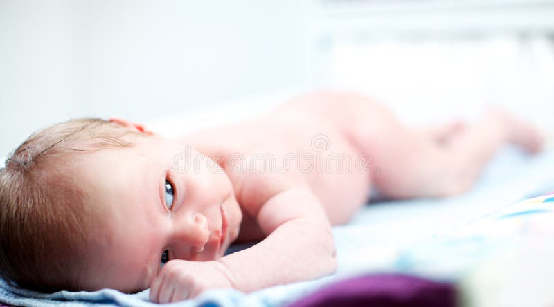Intelligent Little Newborn Baby Stock Photo - Image of cute, face: 28701524