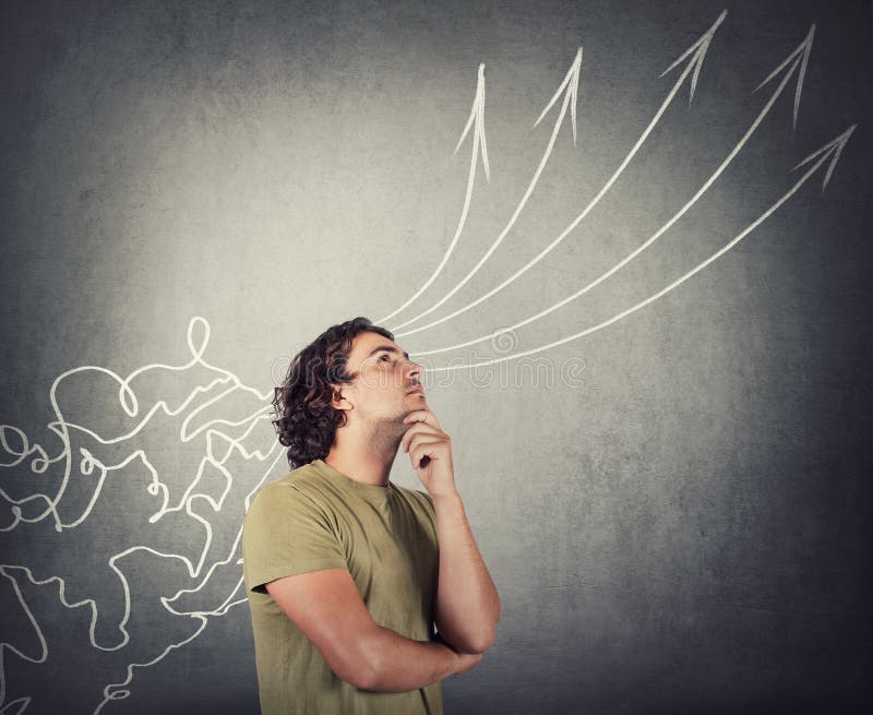 Straight Lines of Fresh Green Corn in Local Cornfield Stock Image ...