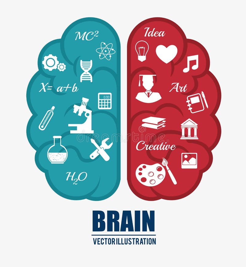 Intelligenz Des Menschlichen Gehirns Stock Abbildung - Illustration von ...