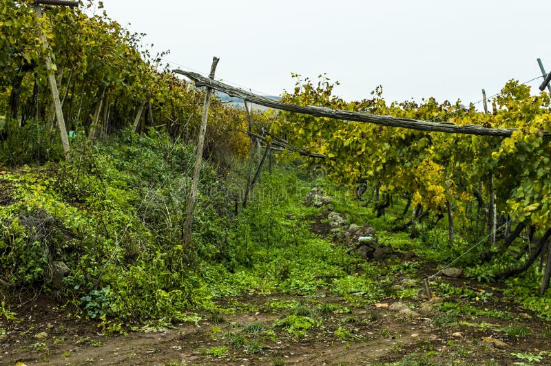 Intemperancia De La Naturaleza Imagen de archivo - Imagen de soplar ...