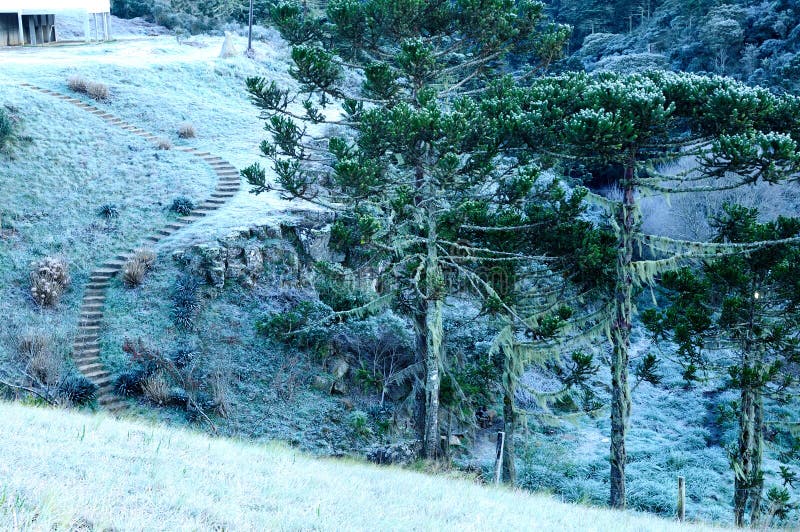 Intense Cold and Severe Winter with Frost in Southern Brazil. Stock ...