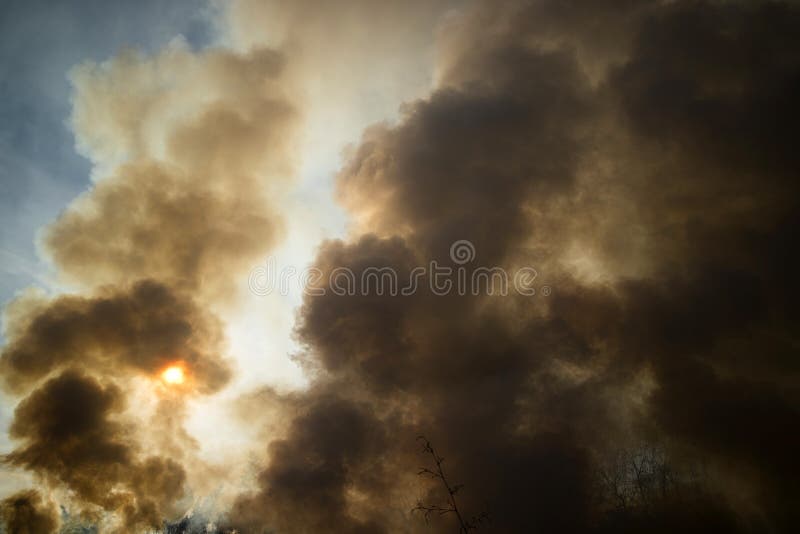Intense column of smoke stock image. Image of dangerous - 133937457