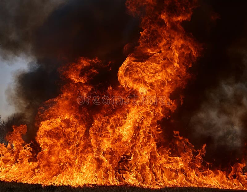 Intense Flames Shot from a Low Angle Showing the Ferocity and Heat of a ...