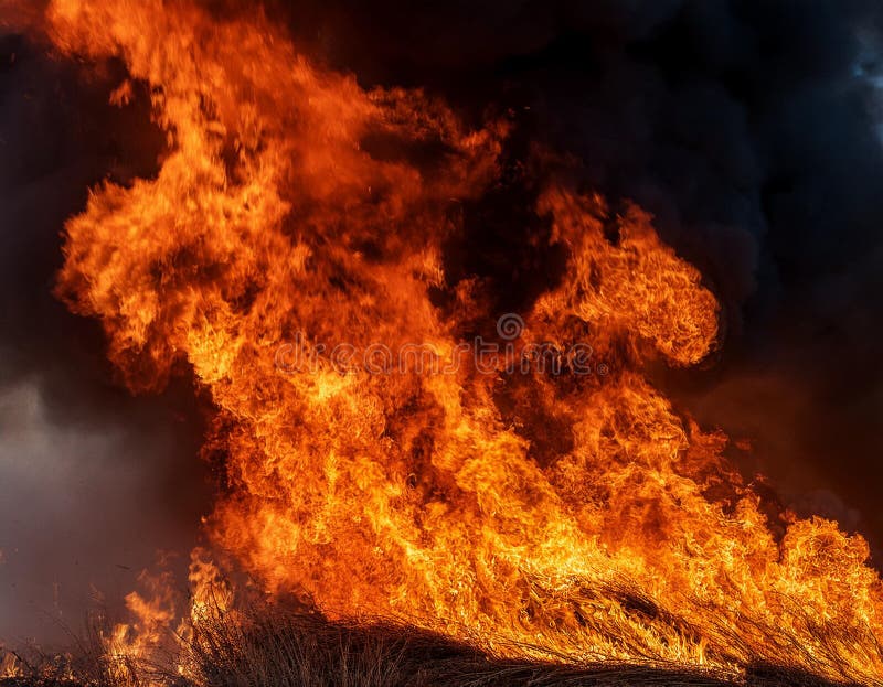 Intense Flames Shot from a Low Angle Showing the Ferocity and Heat of a ...