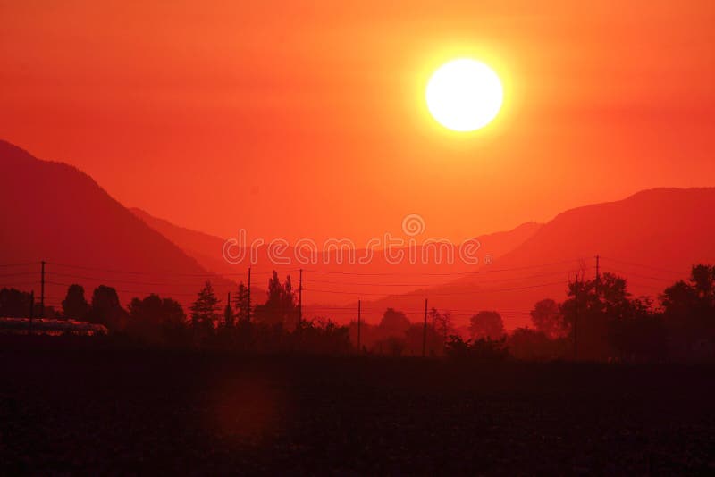 Intense Morning Sun stock image. Image of morning, drought - 56237507