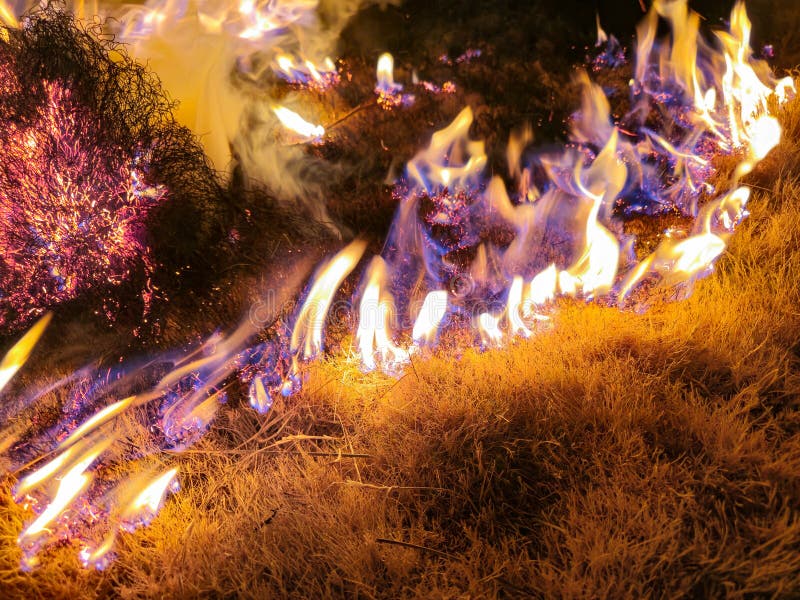 Intense Night Fire Burning Natural Grasslands Stock Photo - Image of ...