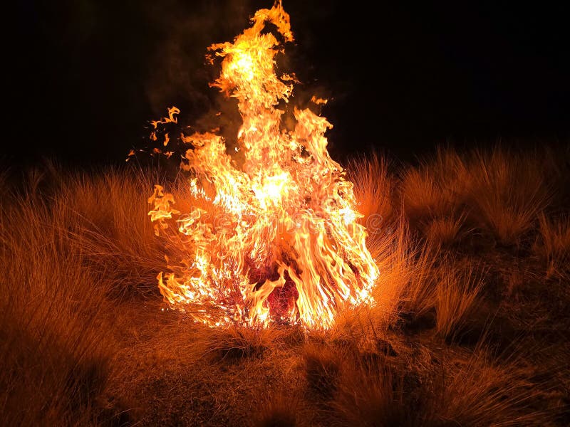 Intense Night Fire Burning Natural Grasslands Stock Photo - Image of ...