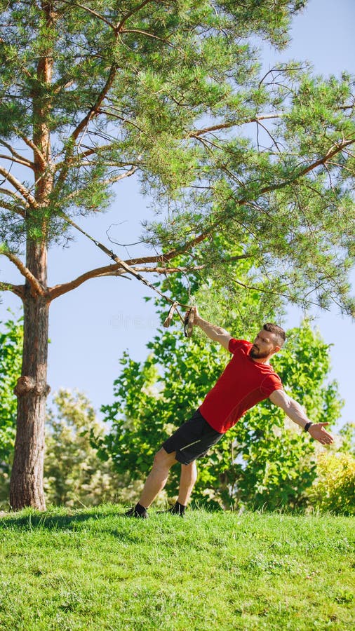 Intense Outdoor TRX Training Session with Fit Man Using Tree Branches ...