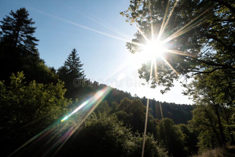 Sunlight Overlay on Black stock illustration. Illustration of shadow ...