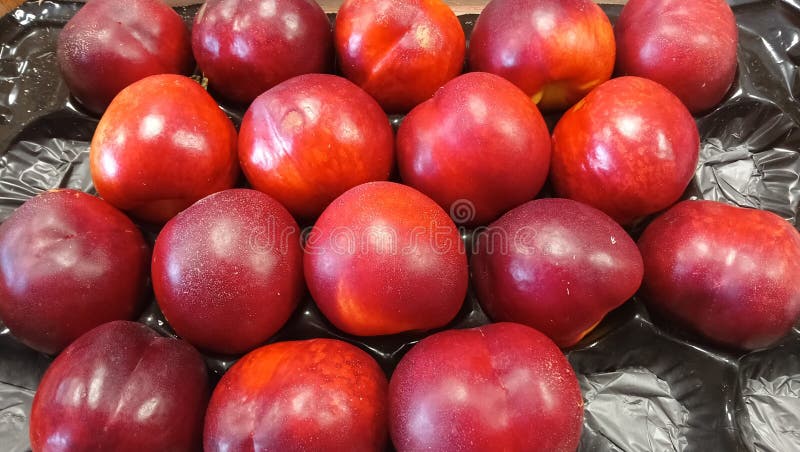 Intensely Colored Nectarines Stock Photo - Image of apple, food: 321055108