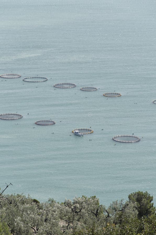 Extensive Aquaculture in the Mediterranean Sea Stock Photo - Image of ...