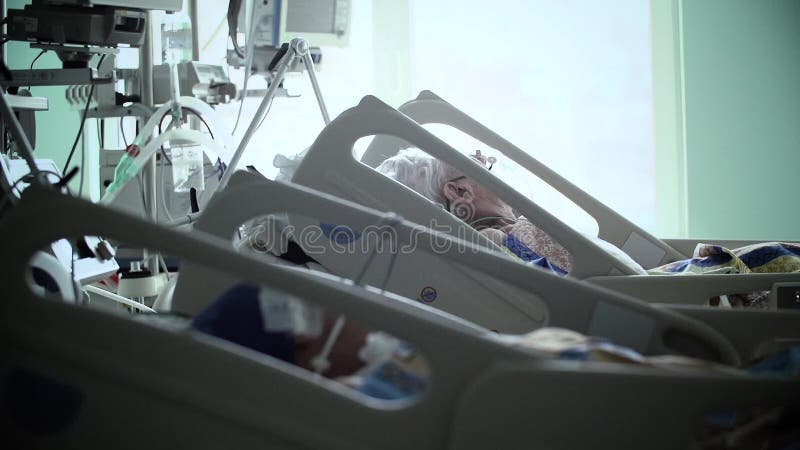 Intensive Care Doctor Examines Ultrasound Radiographs Stock Footage ...