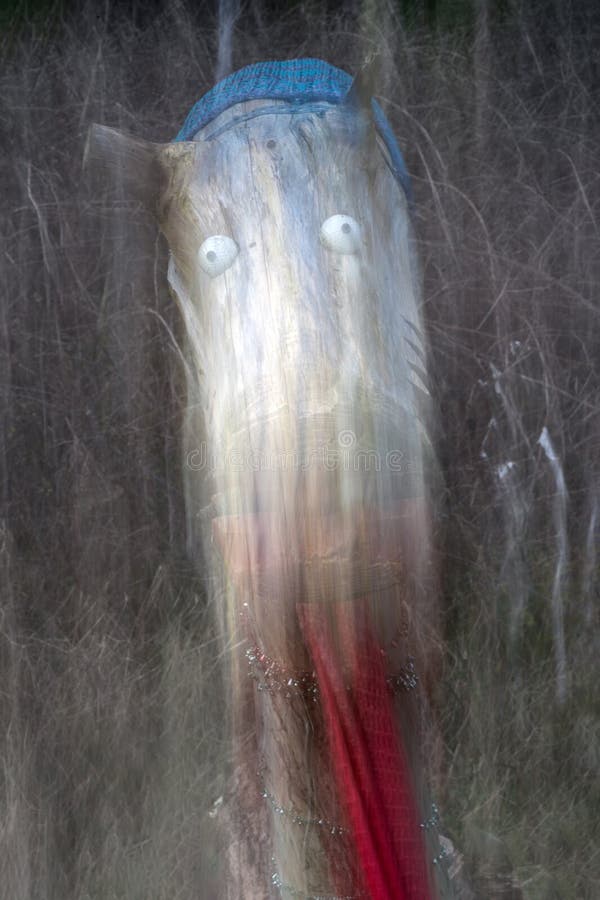 Intentional Camera Movement Background Technique Using a Long Exposure ...