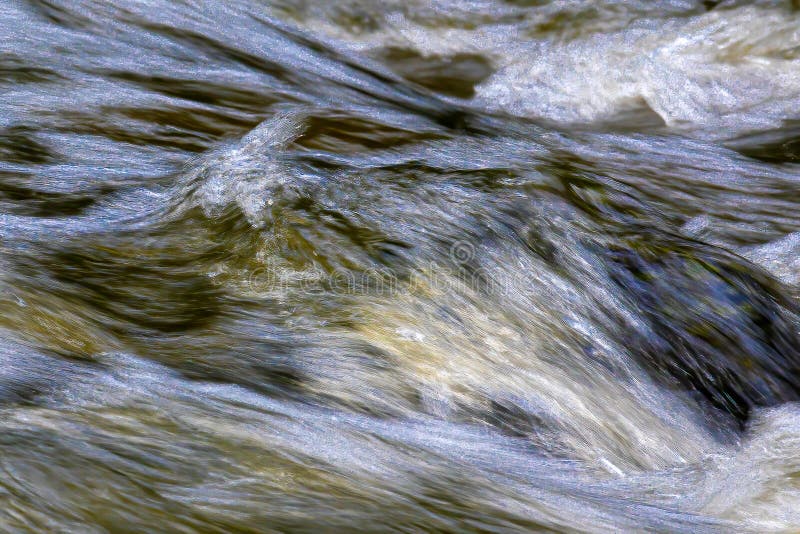 Intentional Camera Movement (ICM) Creating a Dreamy, Blurred Effect of ...